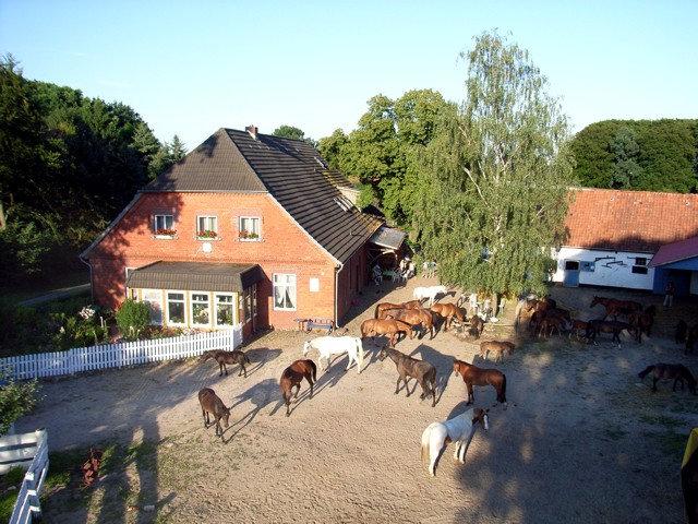 Reiterhof Hahl - Tätendorf-Eppensen