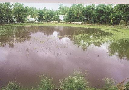 kurukal kulam - Chockalingapuram