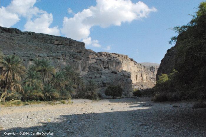 Wadi Damm - After the Dam - Dhum