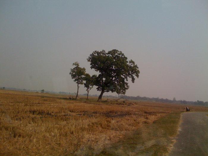 Sukru Wali Baag