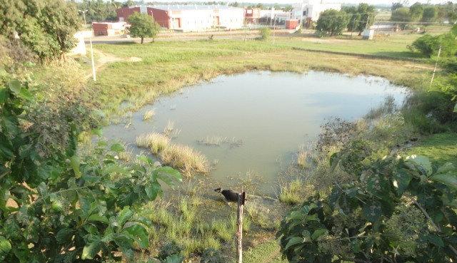 Rattai Kuttai