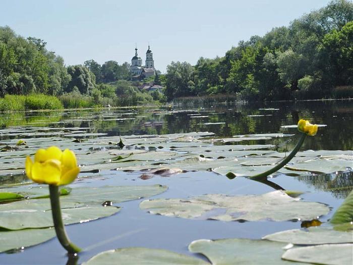 Borovsk