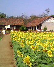 Patharwadi - JungleKey.in Image