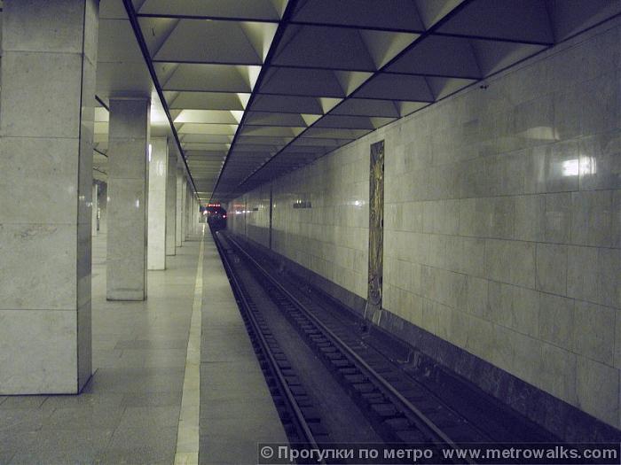 Botanichesky Sad Metro Station - Moscow