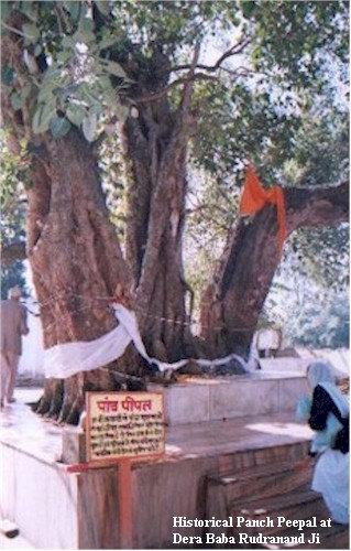 DERA BABA SHRI SHRI 1008 RUDRA NAND JI MAHARAJ, VILL NARI, HIMACHAL ...