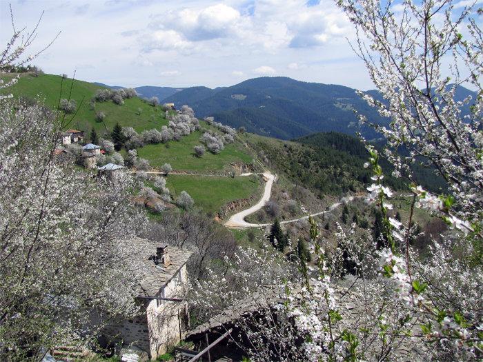 Zornitsa | village