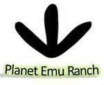 Planet Emu Ranch (Savala)