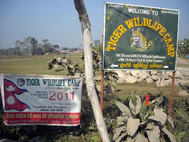 Tiger Wildlife Camp