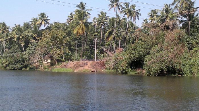 River Face (puzha More)