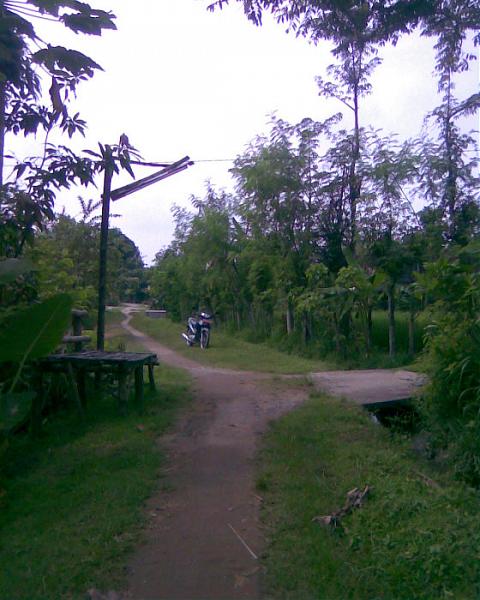 Pertigaan Pojok Utara - Mojo