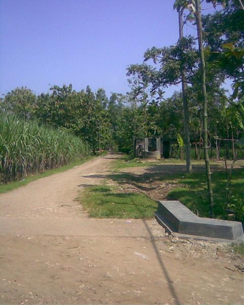 Perempatan Kaliwangon - Krompol