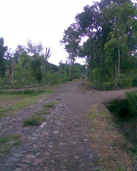 Pertigaan Kaliwangon Dero - Dero