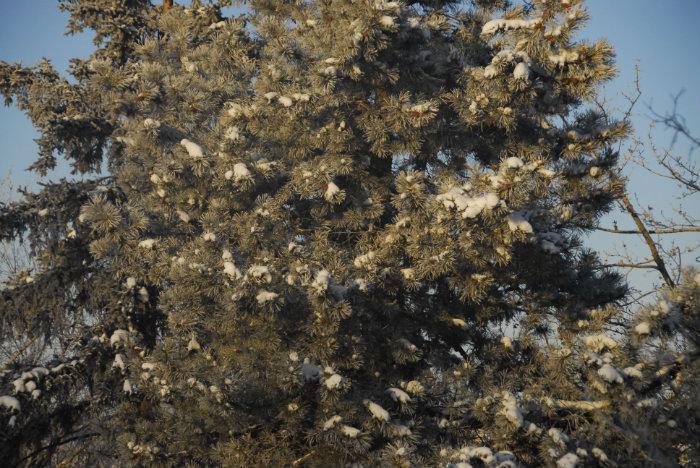 Riverside Golf Course - Edmonton, Alberta