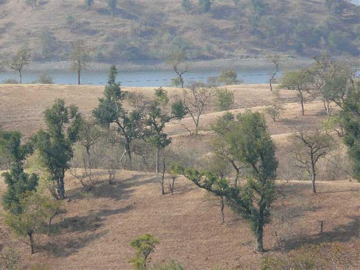 Garbaldi (Suki) Dam Reservoir