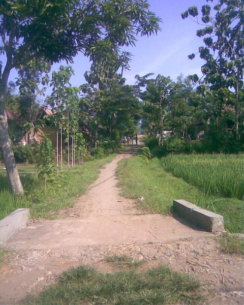 Pertigaan MTs - Winong Timur - Krompol