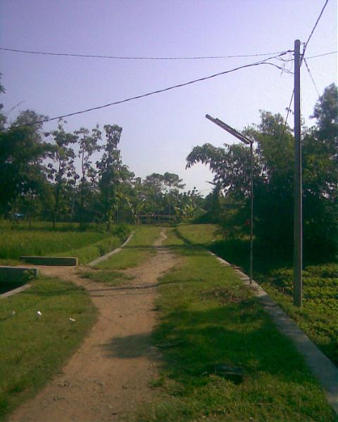 Pertigaan MTs - Winong Timur - Krompol