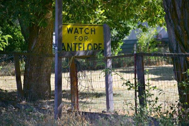 Antelope, Oregon | city