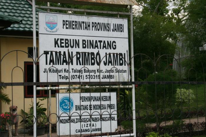 Taman Rimbo Jambi Zoo - Jambi