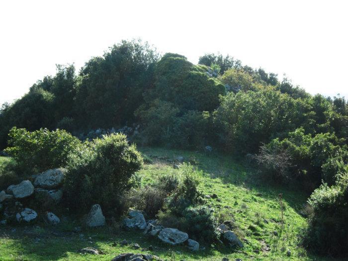 Nuraghe Pizzu Runcu or Pitzu Runcu