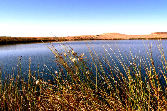 Laguna INCA COYA (ou de Chiu-Chiu)