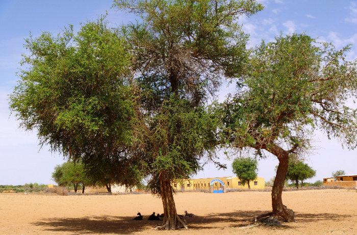 Maliha rural village of Barra