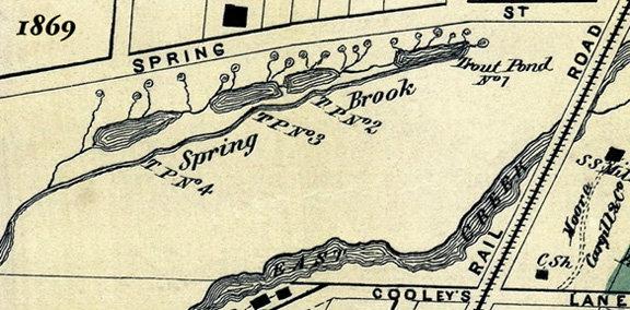 Trout Ponds Park - Village of Newark Valley, New York