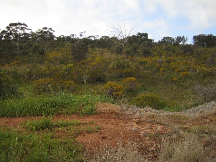 Jo Gapper Rotary Lookout