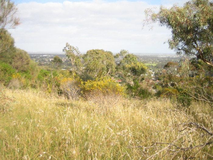 Jo Gapper Rotary Lookout