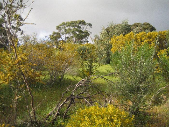 Jo Gapper Rotary Lookout