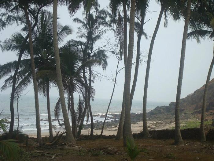 Shelar Family Vayangani,Ratnagiri.