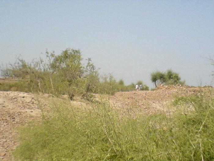 Old fort of Serwahi (Ruined) By: RAFI RAZA SDQ. HC-597