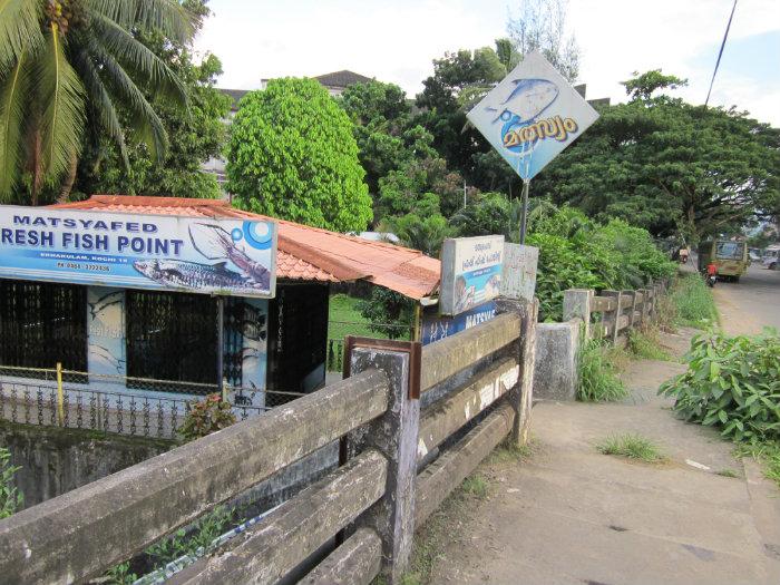 Matsyafed Fresh Fish Point - Kochi