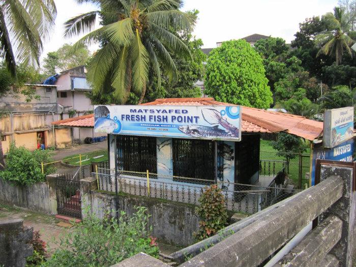Matsyafed Fresh Fish Point - Kochi