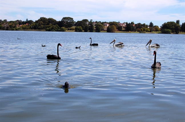 Lake Monger - Perth, WA