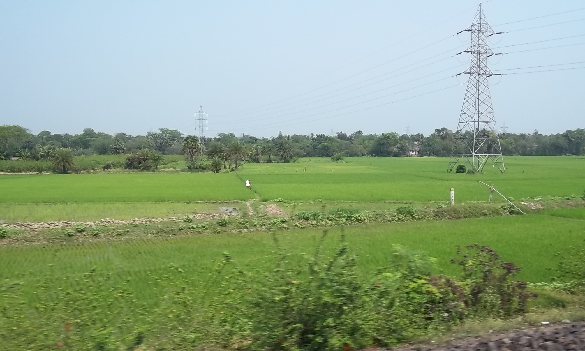 Deulti