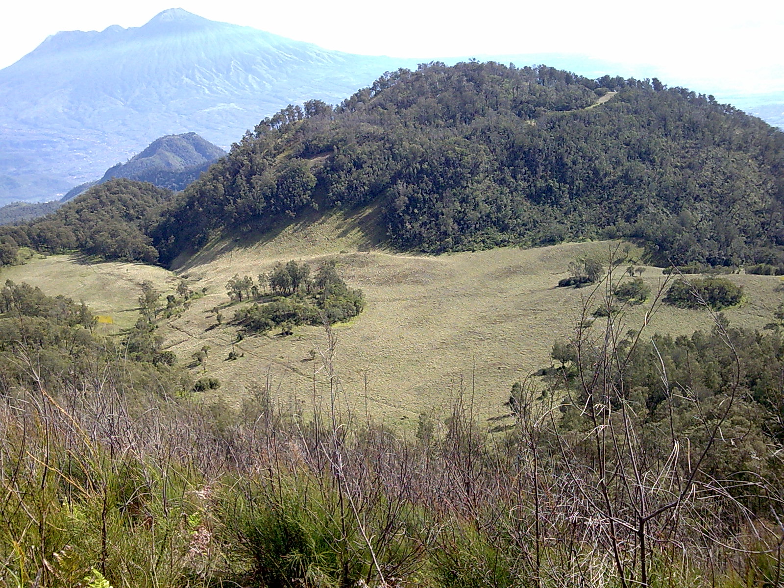 Puncak Cemoro Kandang