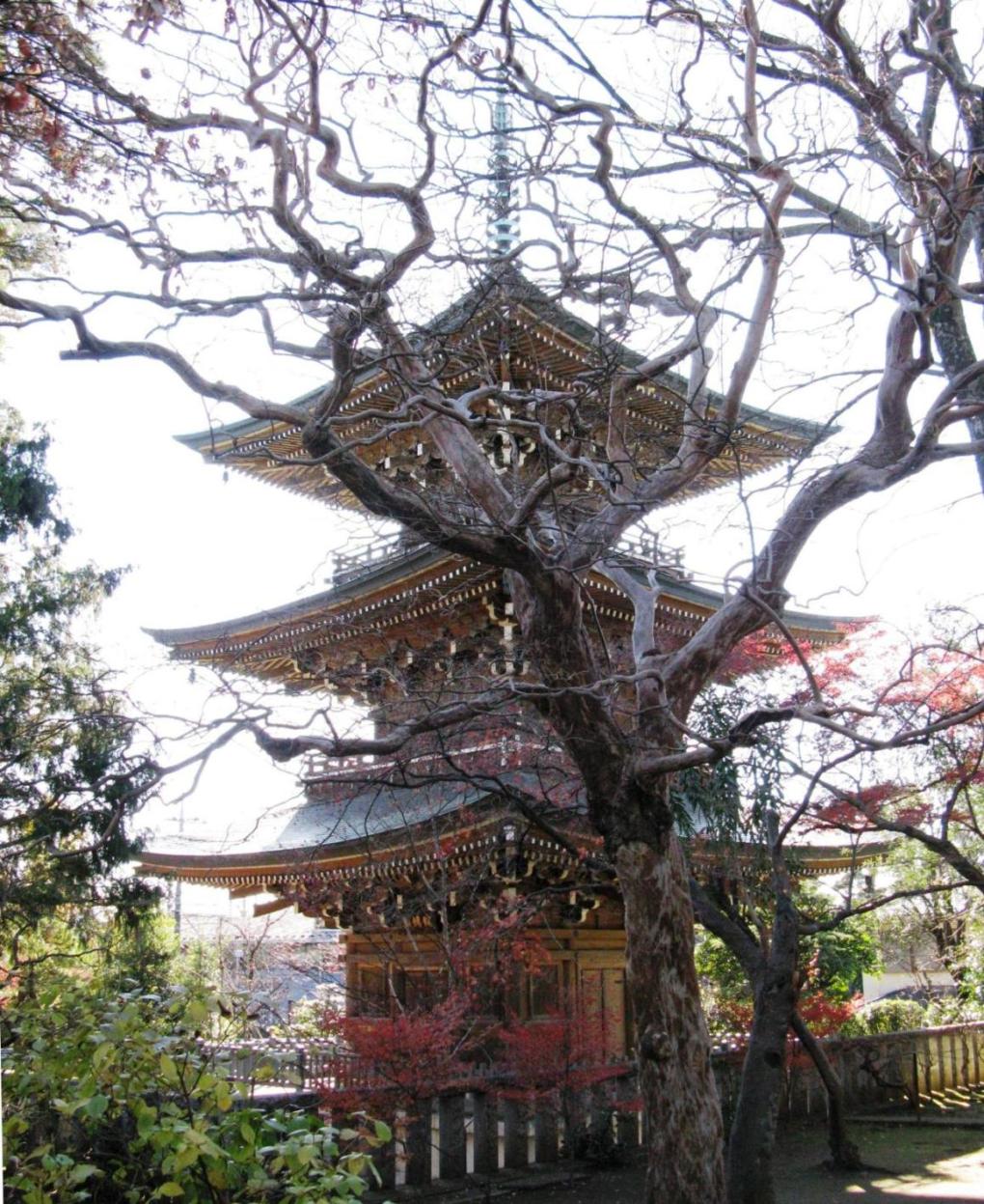 Doujouji - Tokyo