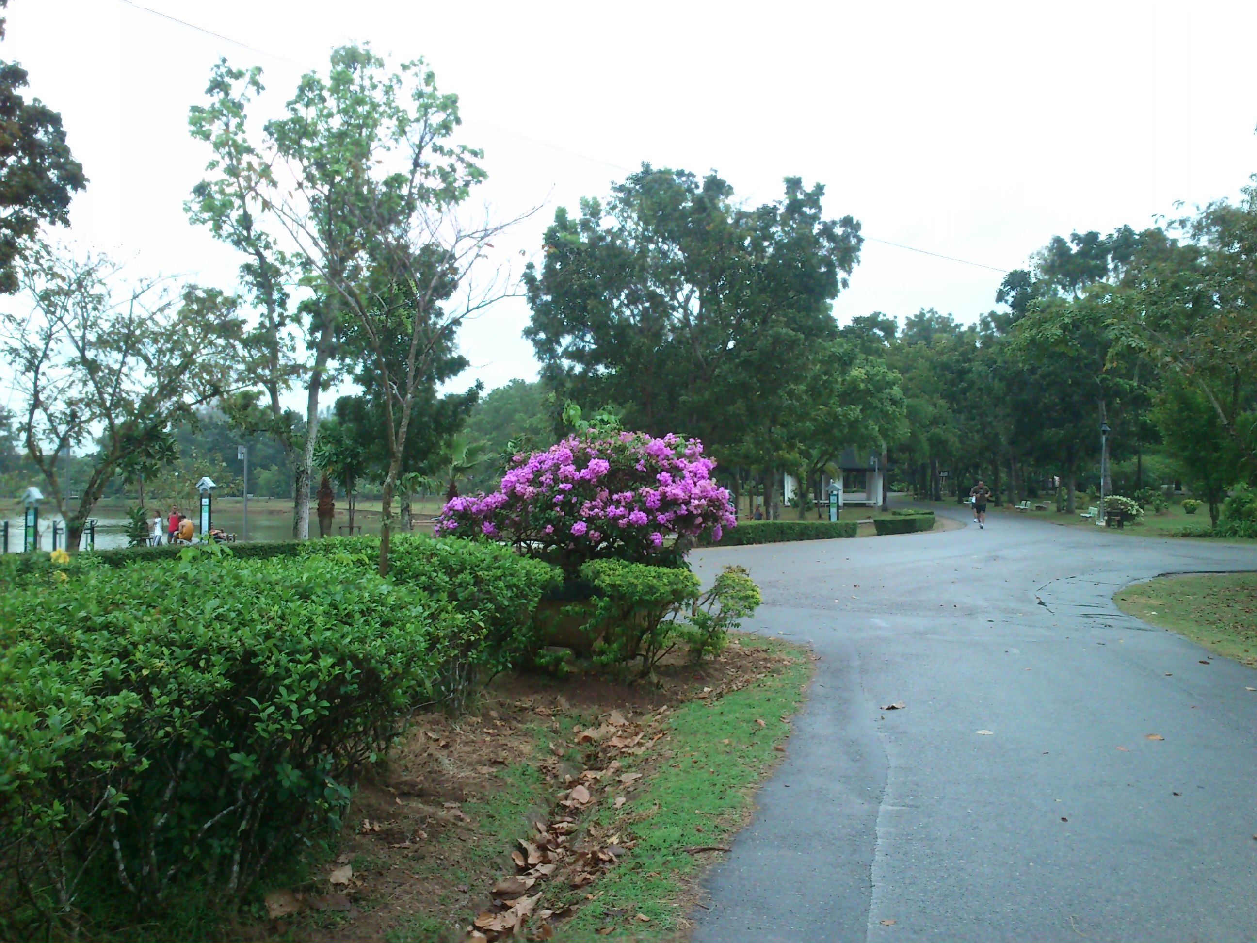 King Rama IX Park - Phuket City Municipality