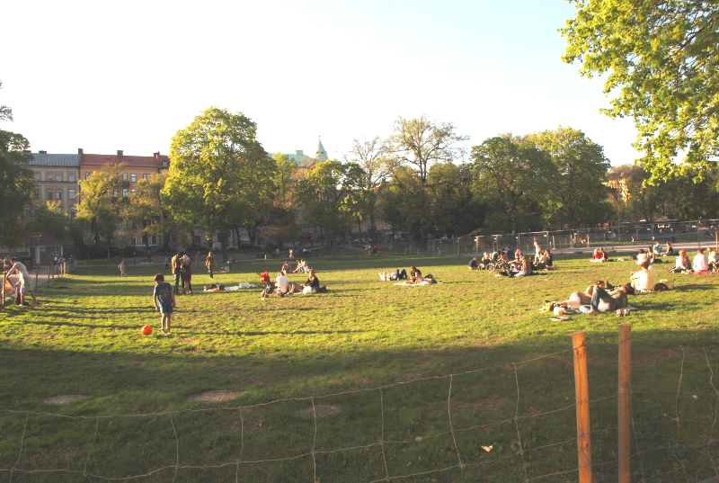 Play Area - Stockholm | park, playground