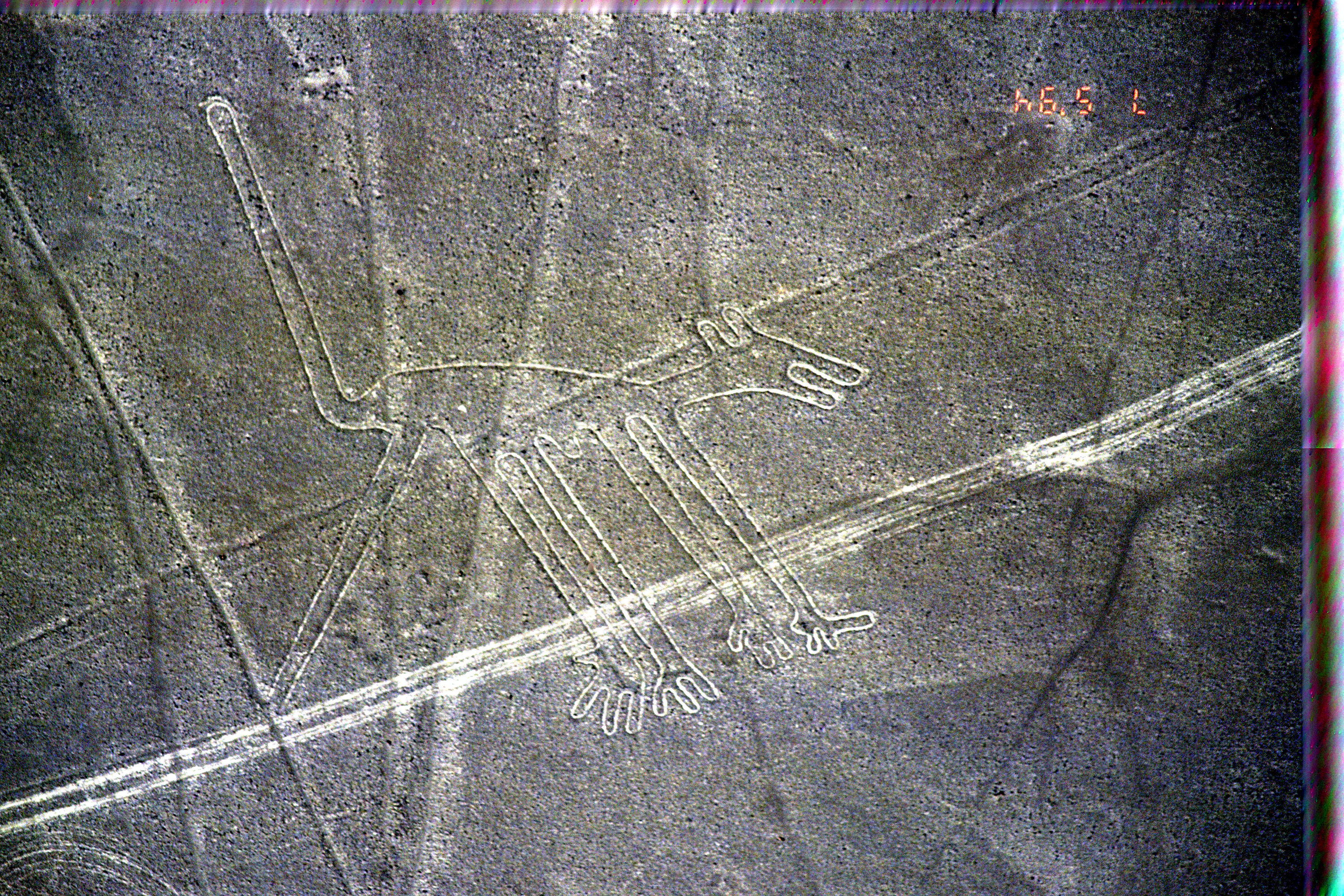 Nazca Dog | Nazca Lines, geoglyph