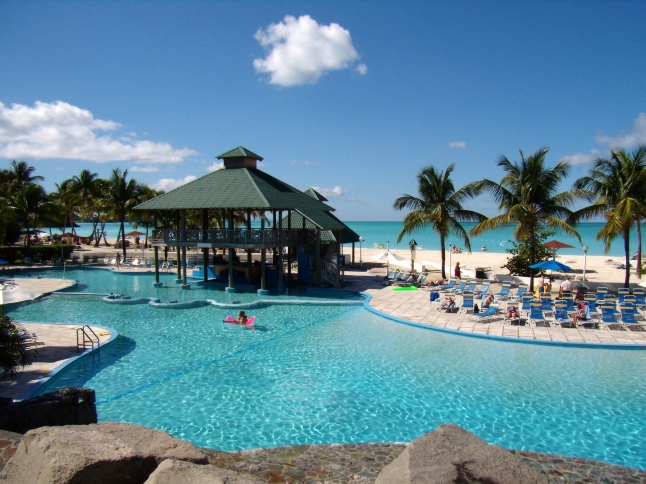 Freeform pool | swimming pool