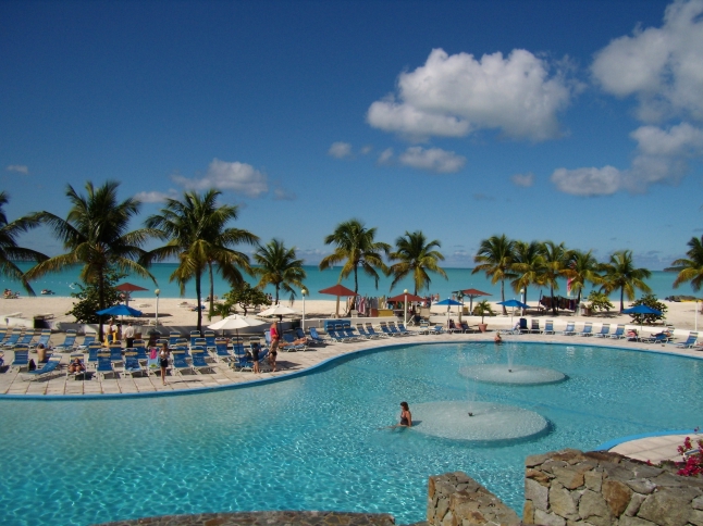 Freeform pool | swimming pool