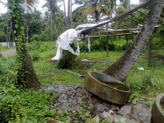 Kothad Island - Kochi
