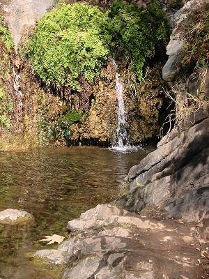 Temescal Waterfall