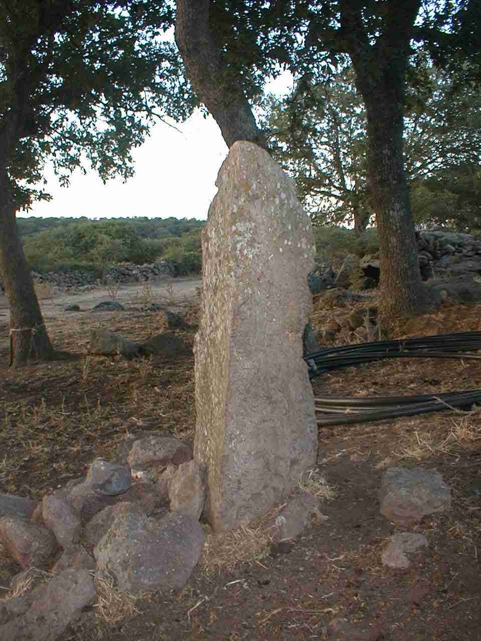Menhirs of Meddaris | archaeological site, prehistoric, megalith ...