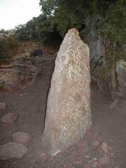 Menhirs of Meddaris | archaeological site, prehistoric, megalith ...