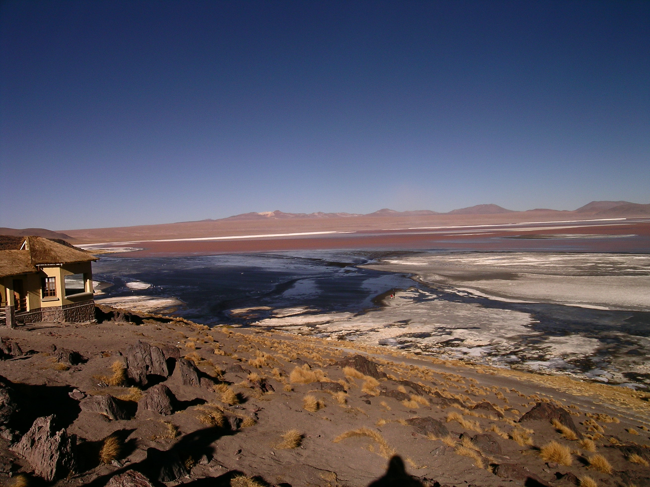 Laguna Colorada