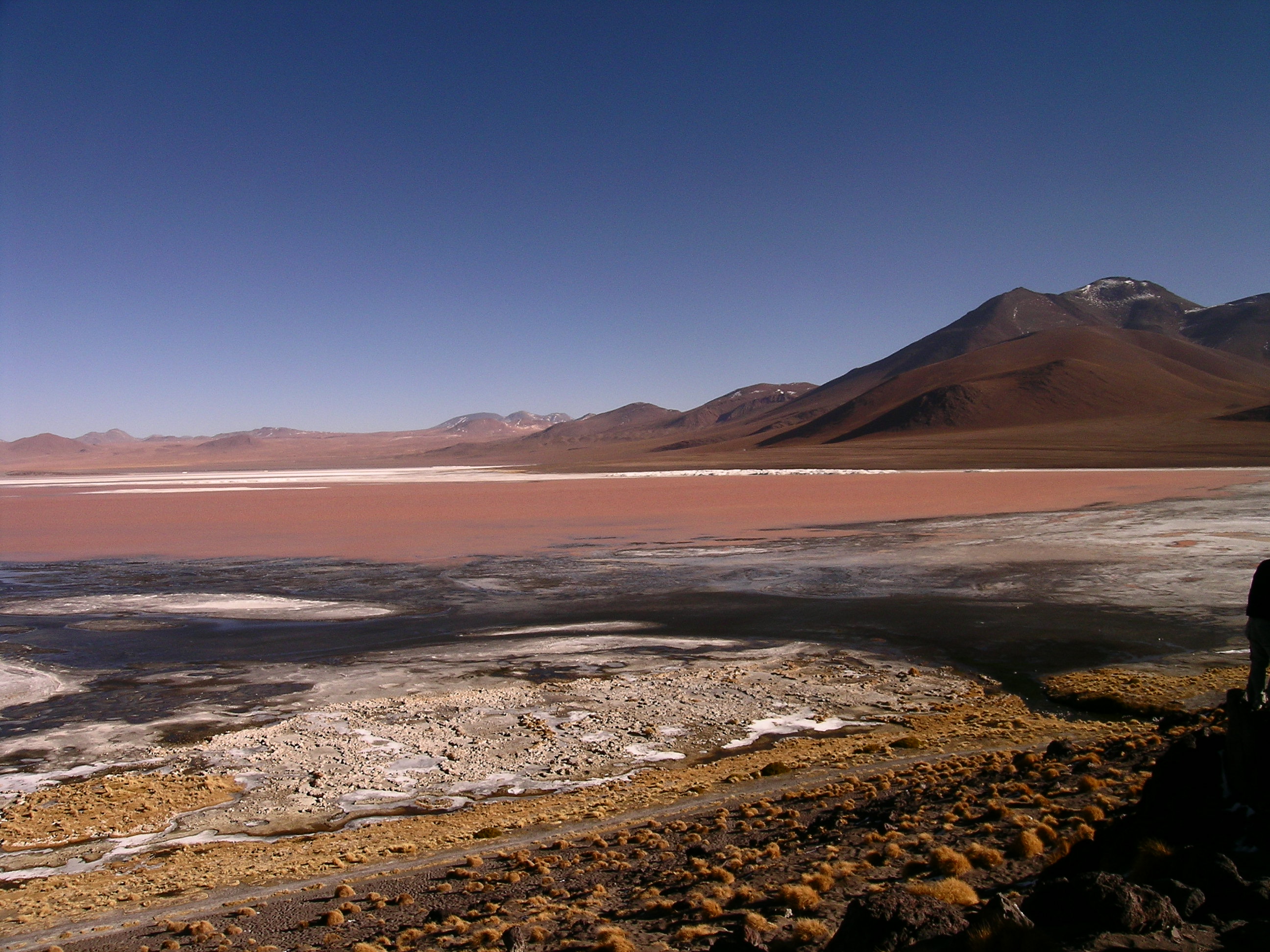 Laguna Colorada