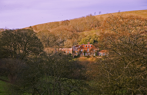Ashcombe House