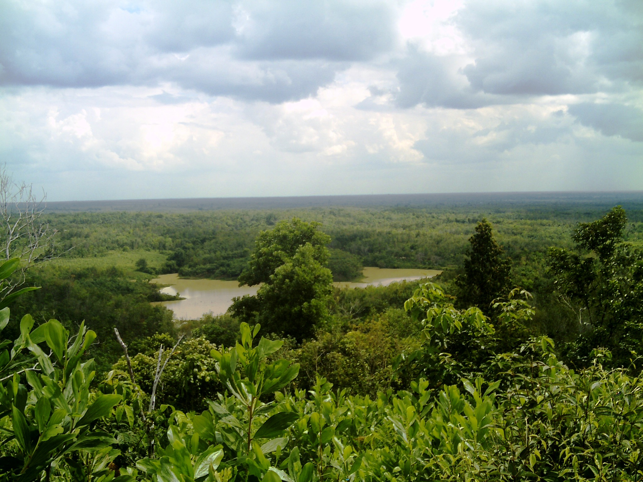 Wisata Alam Danau Peranginan Ratu Desa Lokpaikat dan Desa Budi Mulya ...